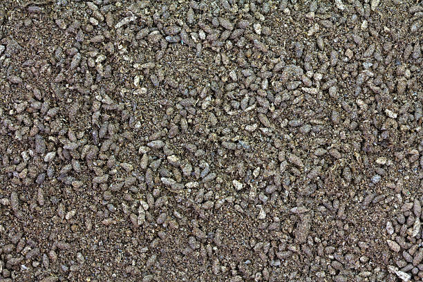 Your Complete Guide to 18 High Potassium Fertilizers