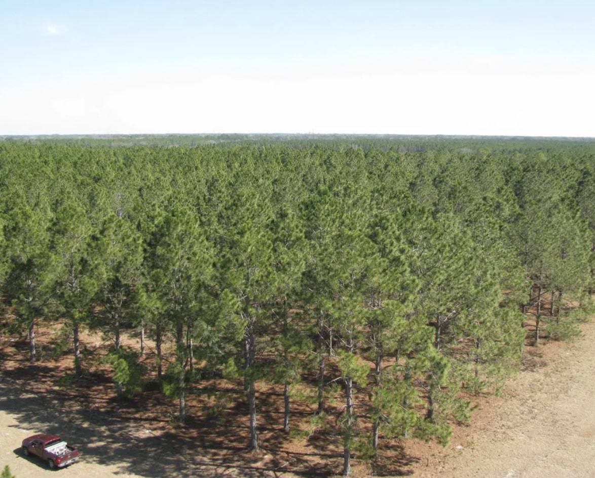 Planting Trees on Acres of Land