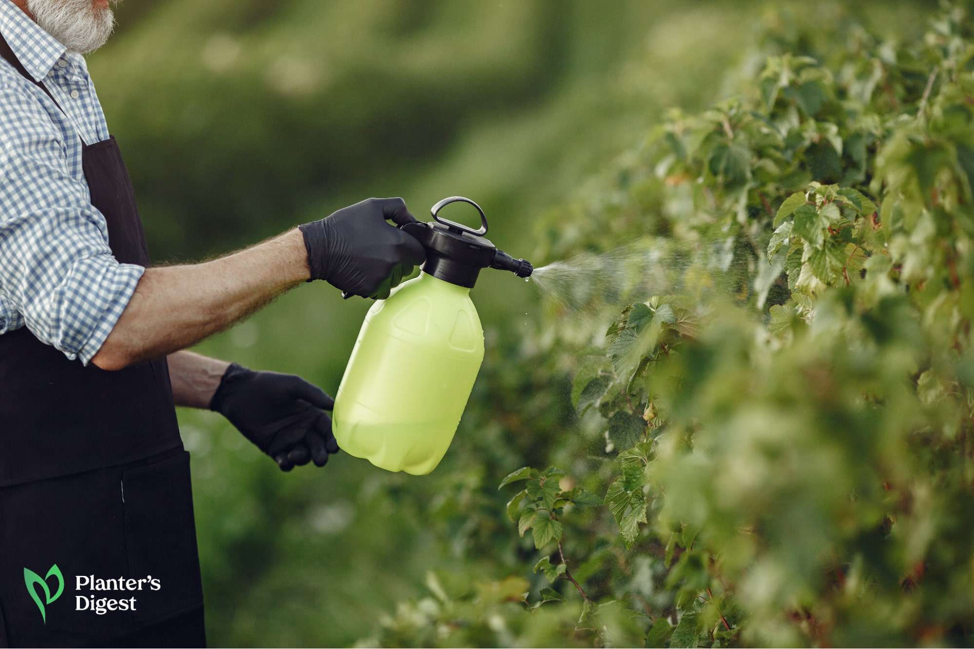 Killing a Tree Using Bleach: A Step-by-Step Guide [2025]