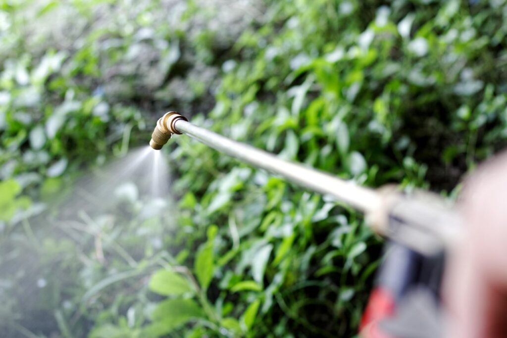 Everything To Know About Triclopyr Herbicide [2025]