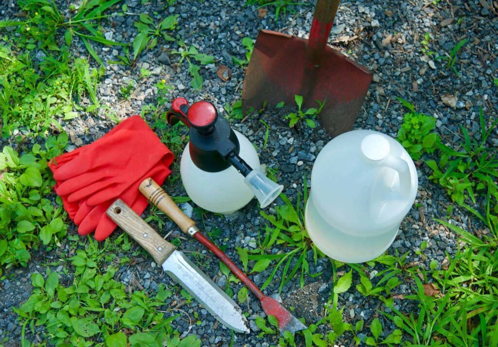 Everything To Know About Triclopyr Herbicide [2025]