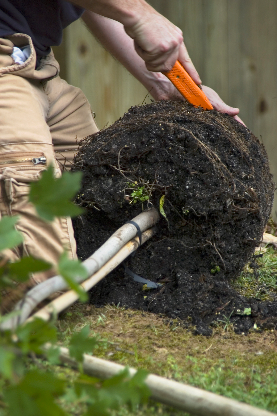 An Easy Guide to Measure the Weight of Tree Stumps