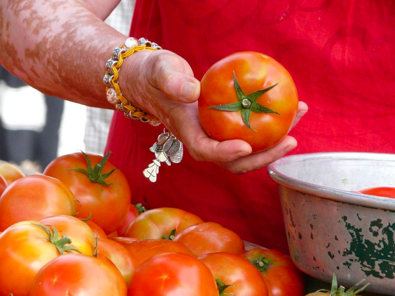 A Quick Guide on Tomato Weights