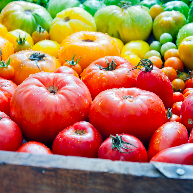 A Quick Guide on Tomato Weights