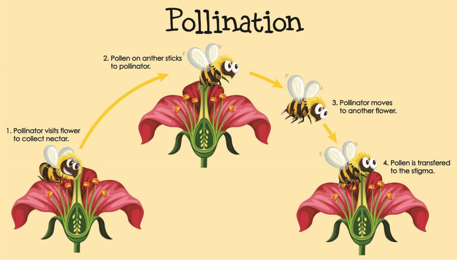 Pepper Pollination 101