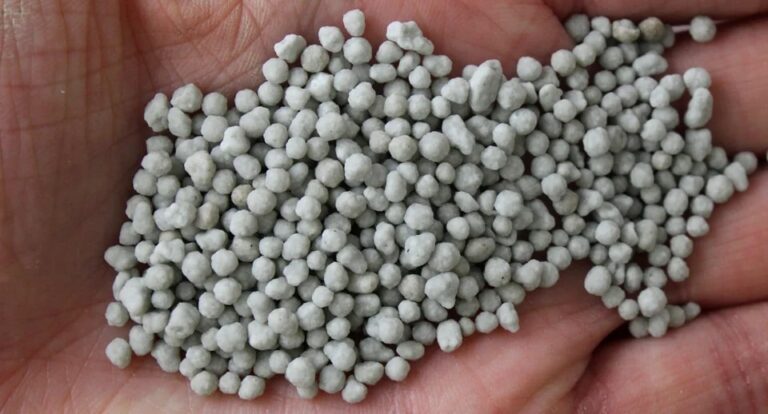 Acidic Fertilizers: 16 Amazing Options to Choose From