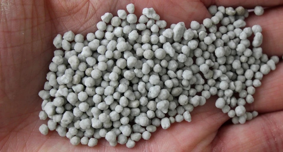 Acidic Fertilizers: 16 Amazing Options to Choose From