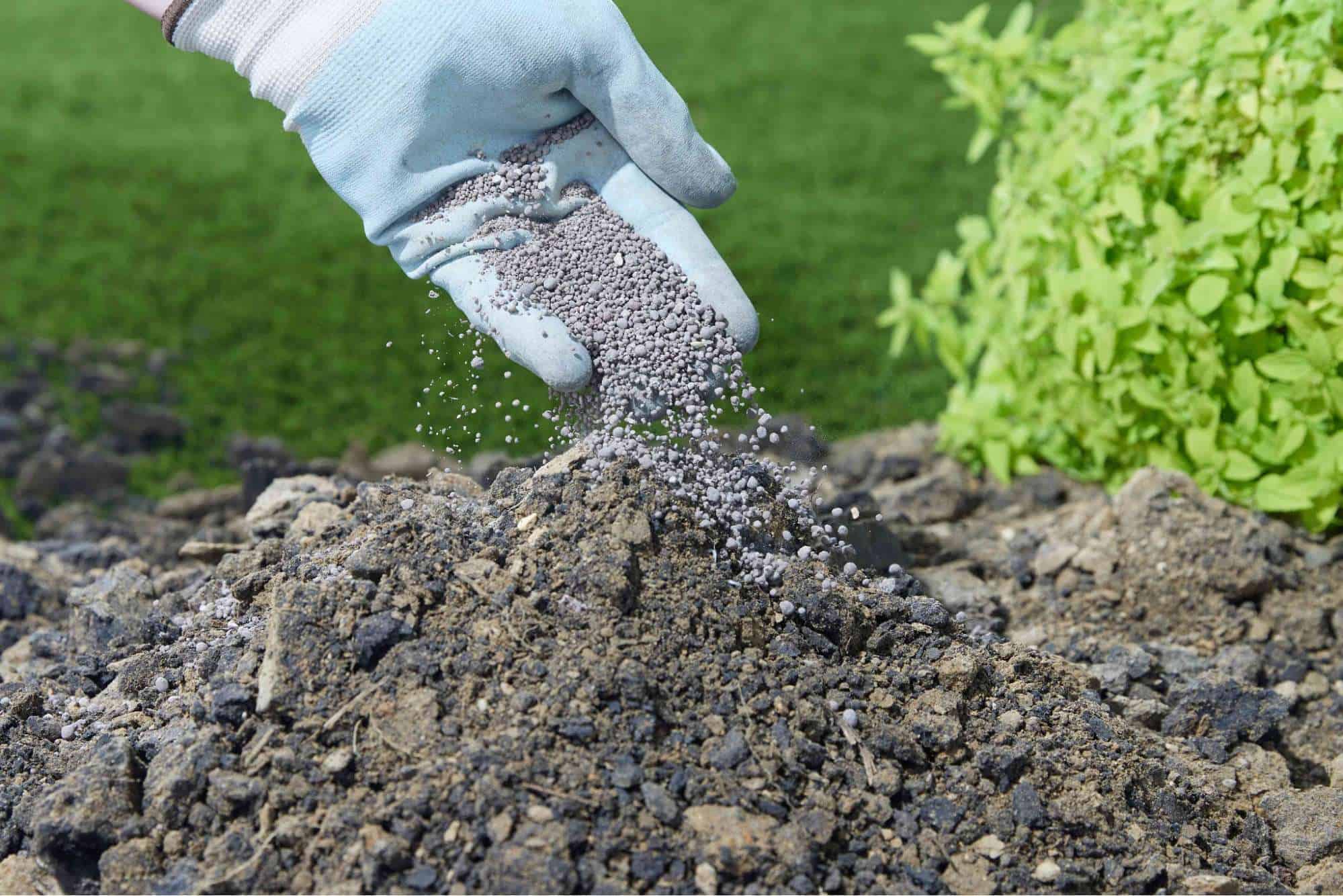 The 101 On Fertilizers with Calcium