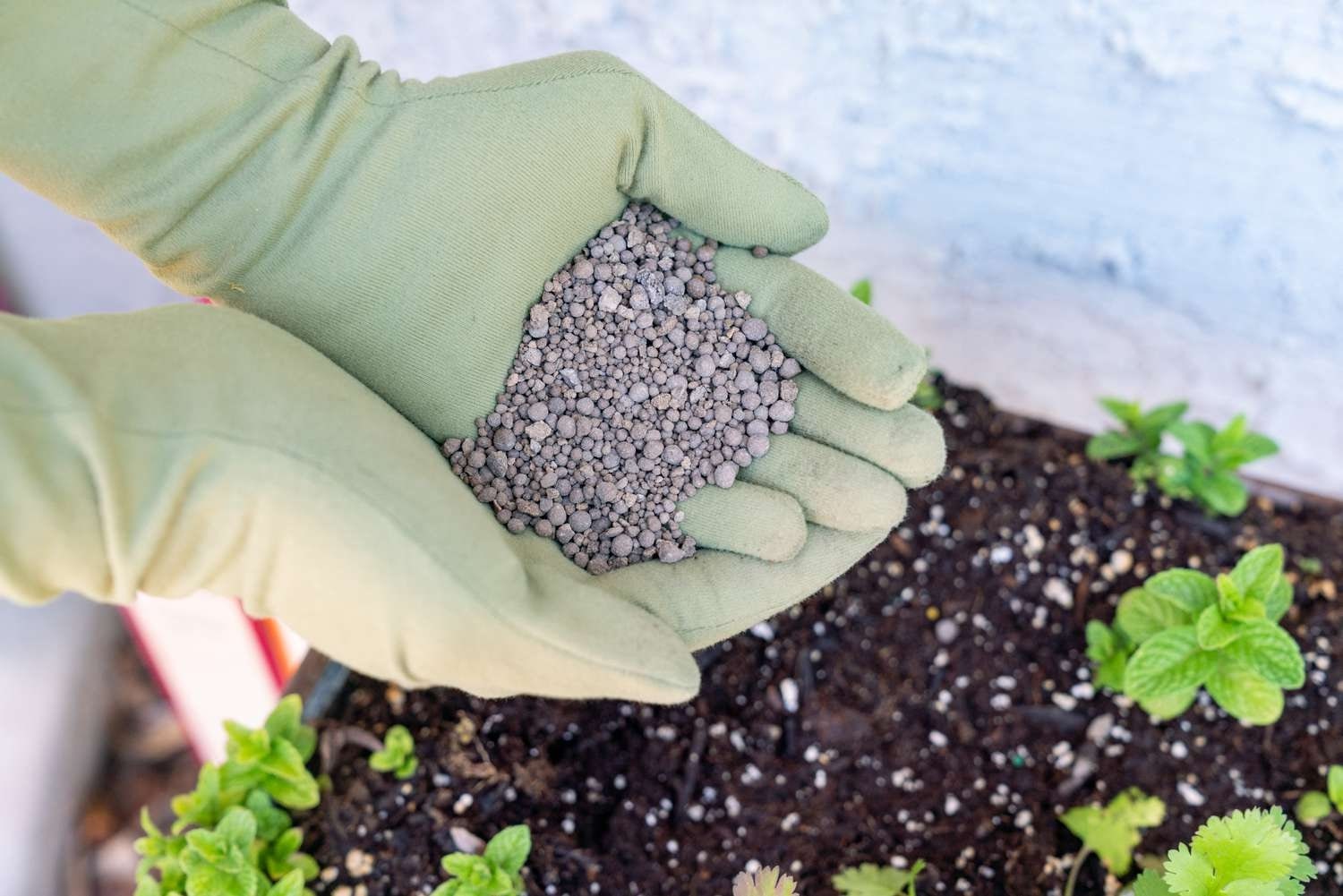 The 101 On Fertilizers with Calcium