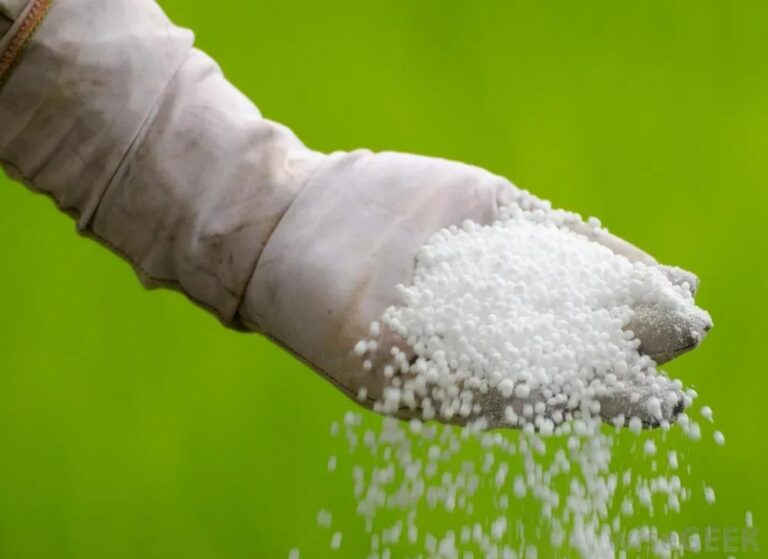 Acidic Fertilizers: 16 Amazing Options to Choose From