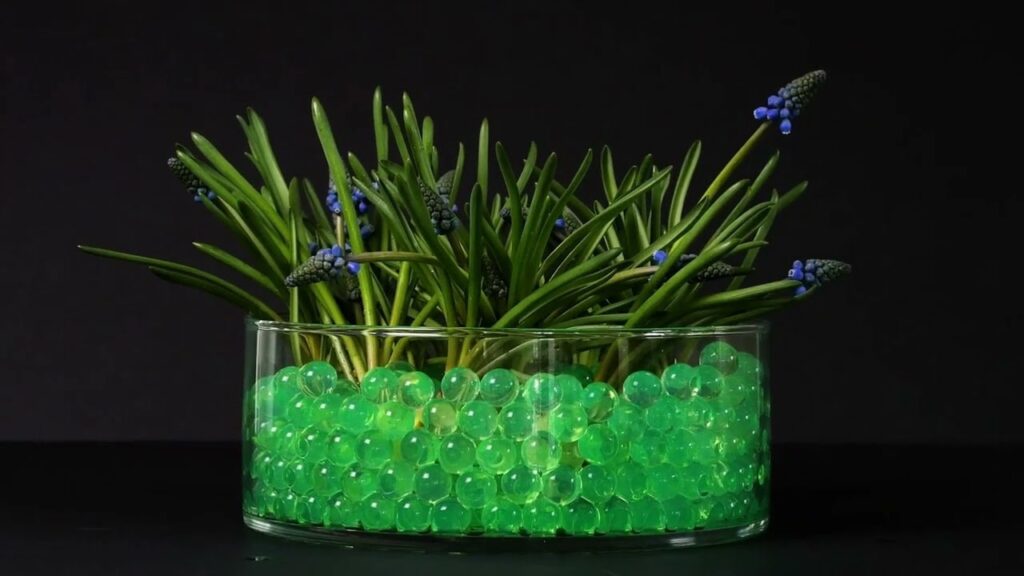How to Use Water Beads for Plants: Creating Hydrogel Heavens