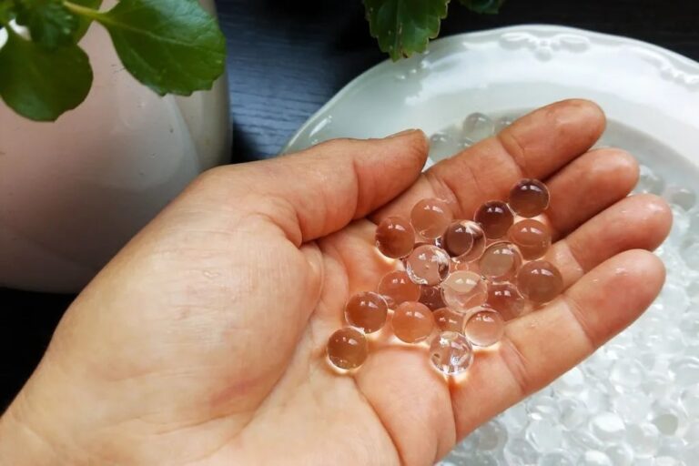 How to Use Water Beads for Plants: Creating Hydrogel Heavens