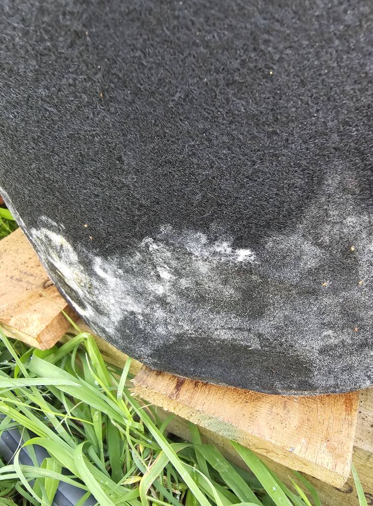 What You Should Do If You See Mold on Your Grow Bags